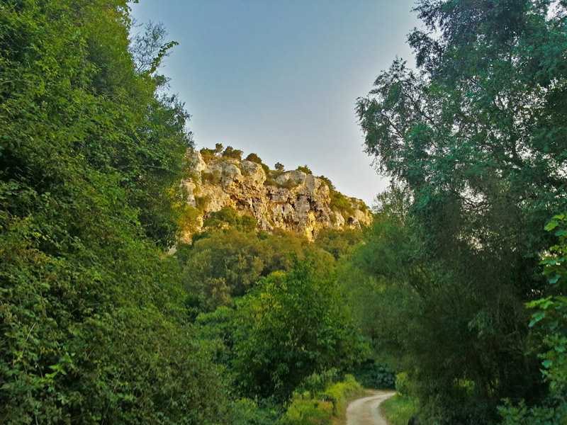 Acg Menorca Motos: NATURALEZA EN MENORCA